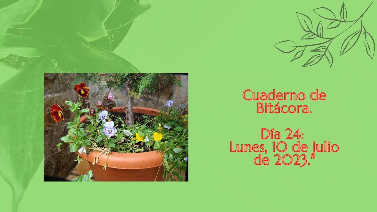 🍀 Cuaderno de Bitácora: "Día 24: Lunes, 10 de Julio de 2023." 🍀 - YouTube