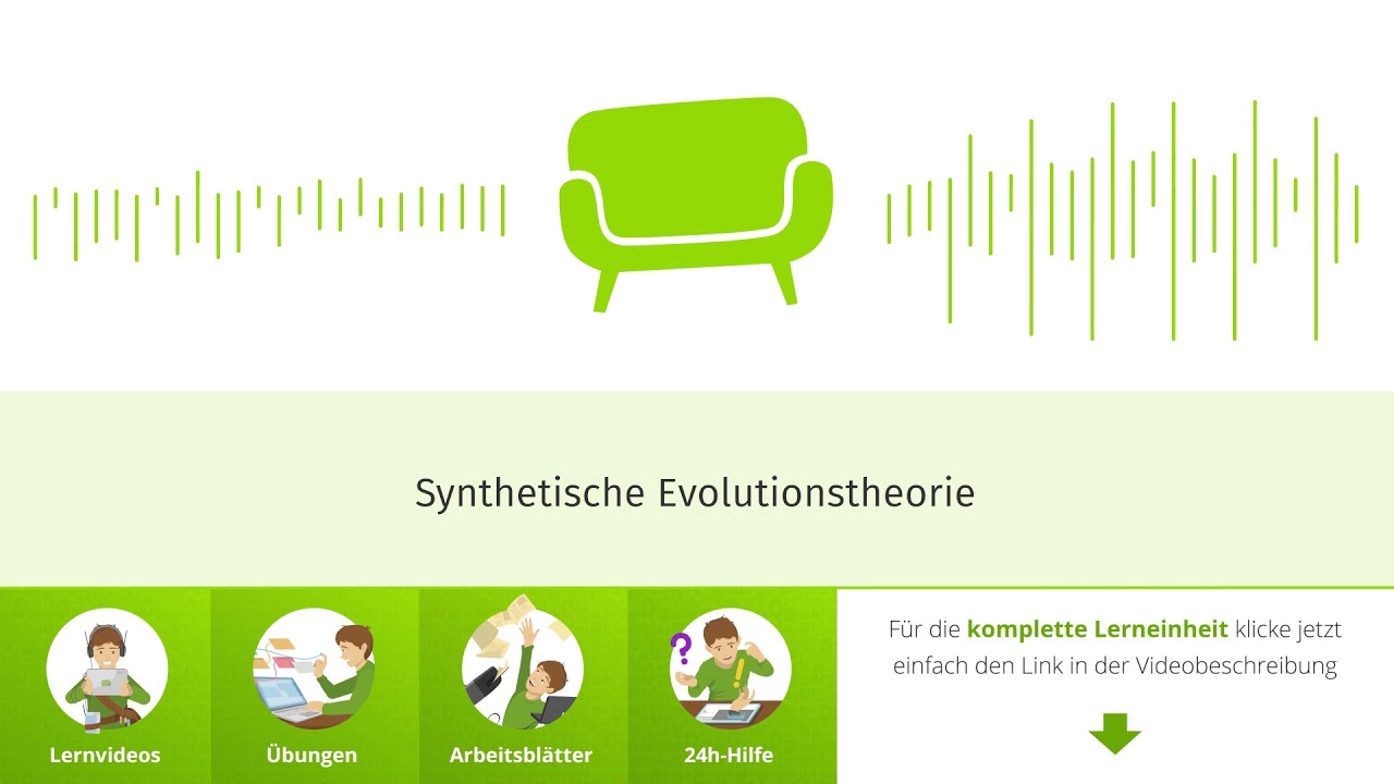 Synthetische Evolutionstheorie einfach erklärt | sofatutor - YouTube