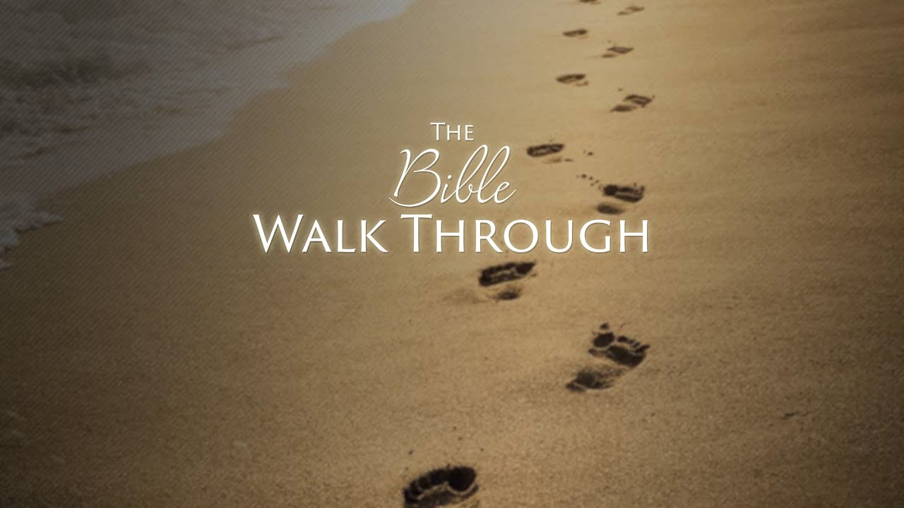 The Bible Walk Through Introduction - DVD Bible Study Series - YouTube