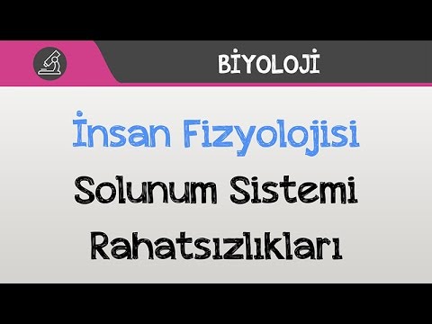İnsan Fizyolojisi - Solunum Sistemi Rahatsızlıkları