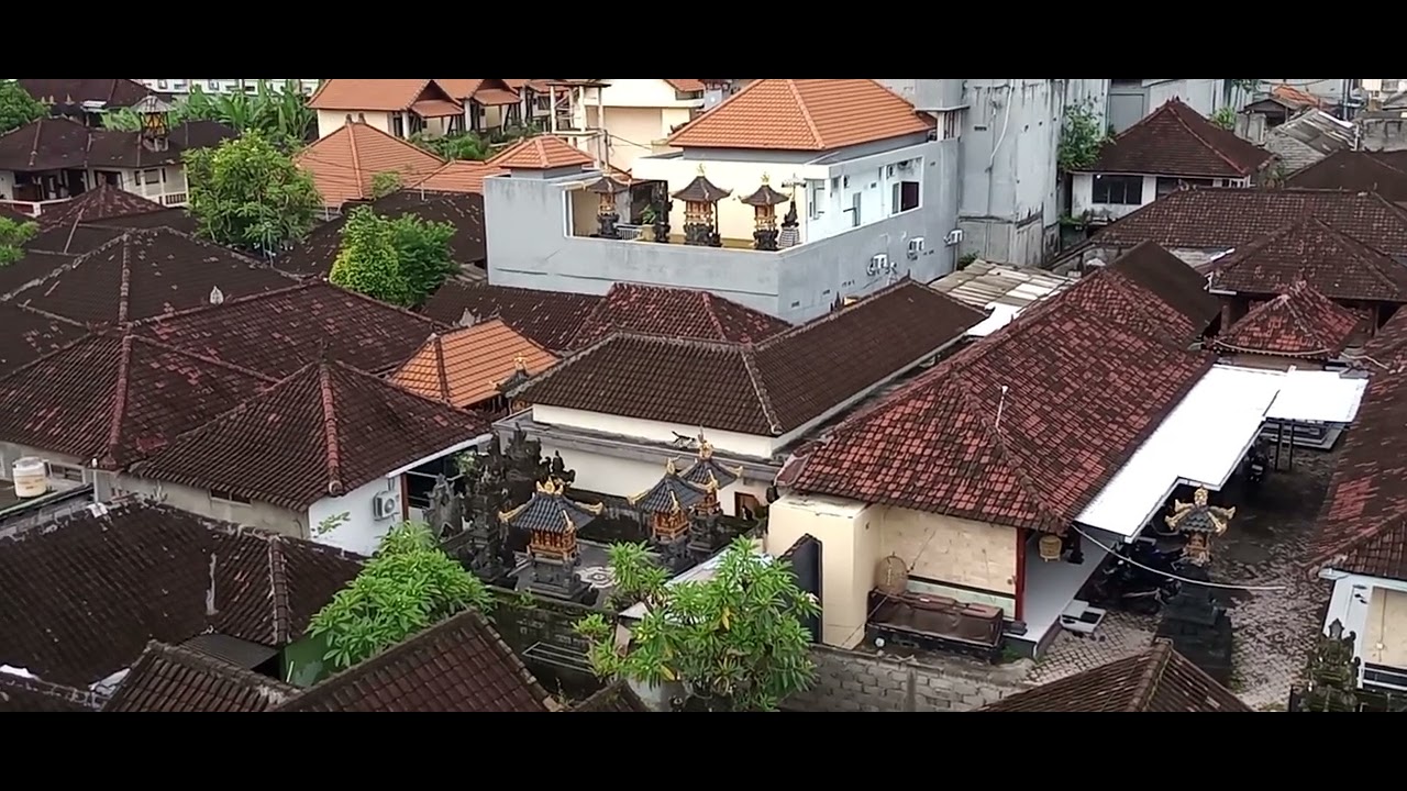 cats of Bali Kuta - YouTube