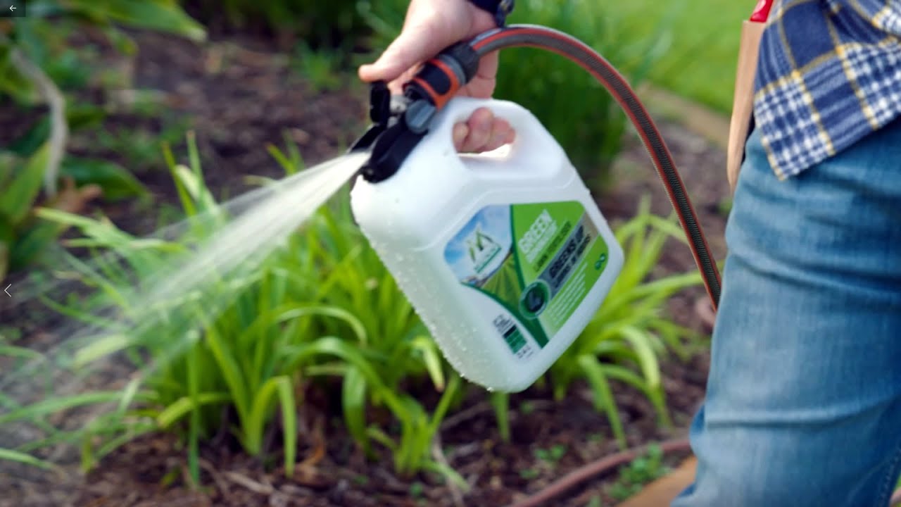 The Garden Gurus - Professional Green Lawns - YouTube