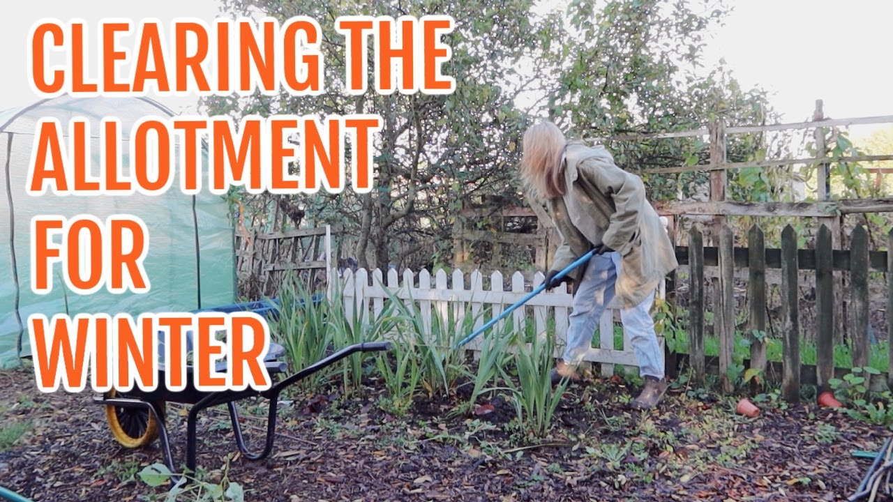 CLEARING THE ALLOTMENT FOR WINTER / NOVEMBER 2022 / EMMA'S ALLOTMENT ...