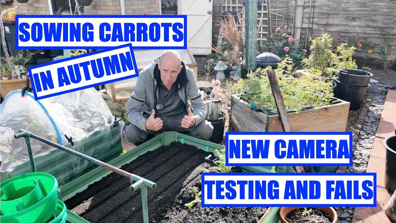 SOWING CARROTS FOR OVER WINTER🥕NEW CAMERA TEST AND LESSONS LEARNT🎥 ...