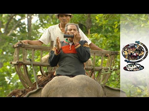 The Jungle Aphrodisiac (2004)