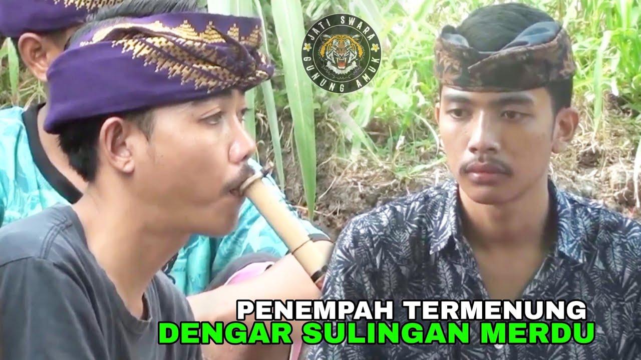 Penempah Termenung Dengar Sulingan Merdu Gendang Beleq JATI SWARA ...