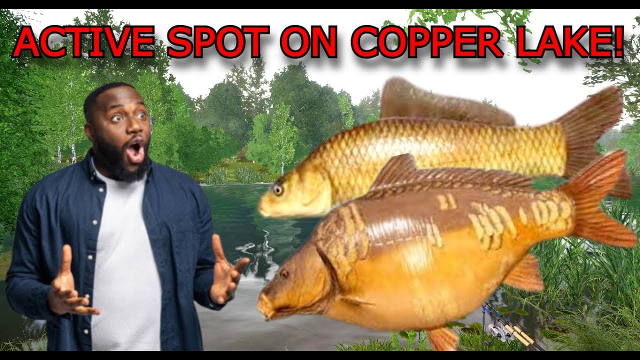 Russian Fishing 4 (RF4) Active Spot On Copper Lake! + Farm silver SPOT ...