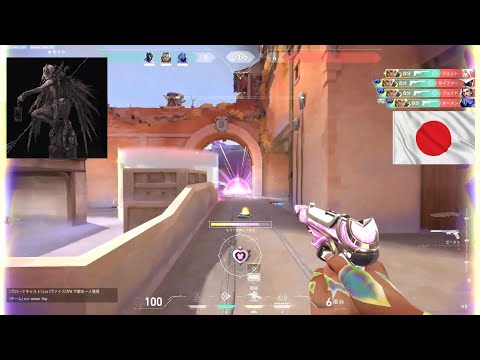 Japanese Aimers: special