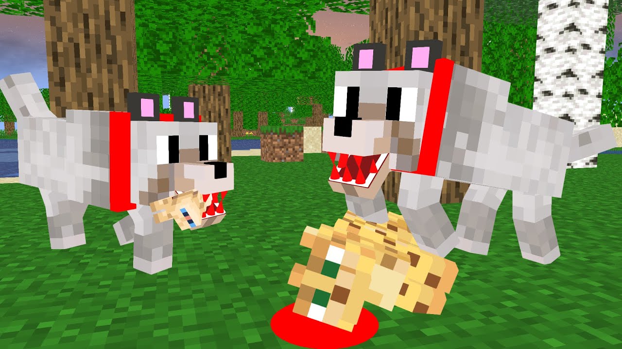 Cat Life - Minecraft Animation; - YouTube