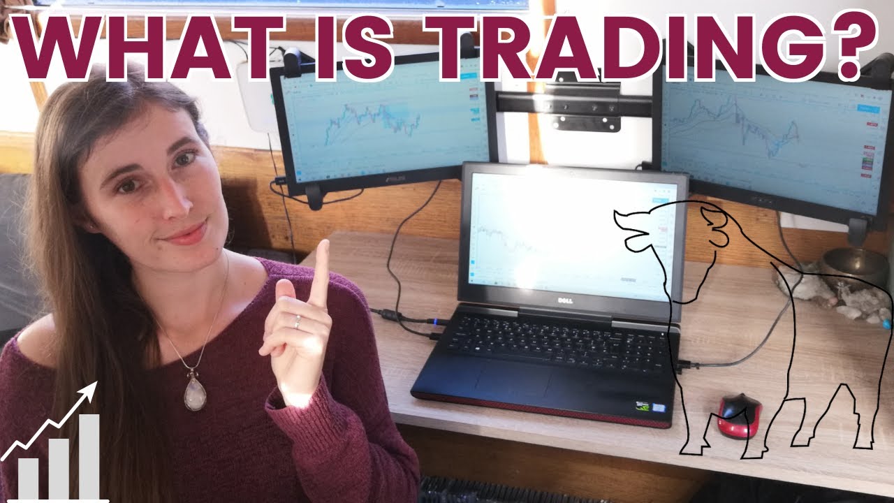 What is Trading? (for beginners) and How to Earn Money Trading - YouTube