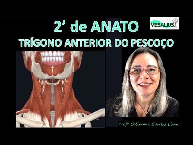 Anatomia Anterior Do Pescoco