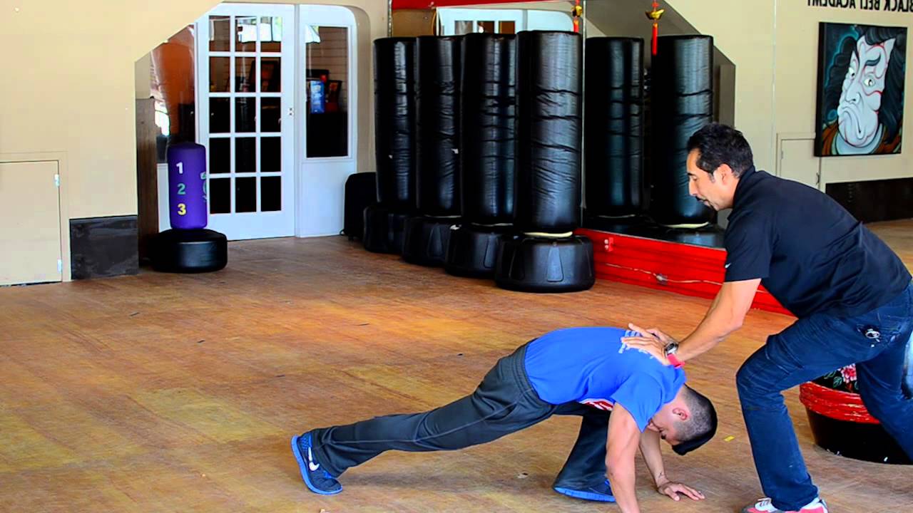 What Is the First Basic Fighting Stance in Jiu-Jitsu? : Martial Arts ...