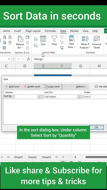 Excel Tips: Sort Data In Seconds #excellifehacks #exceltipsandtricks #dataentry - YouTube