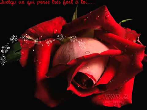 // GÜLÜM SENİ SEVİYORUM //