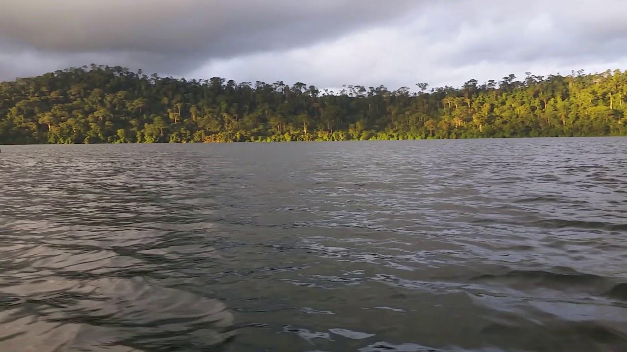 Site view of Mbo Barombi Lake - YouTube