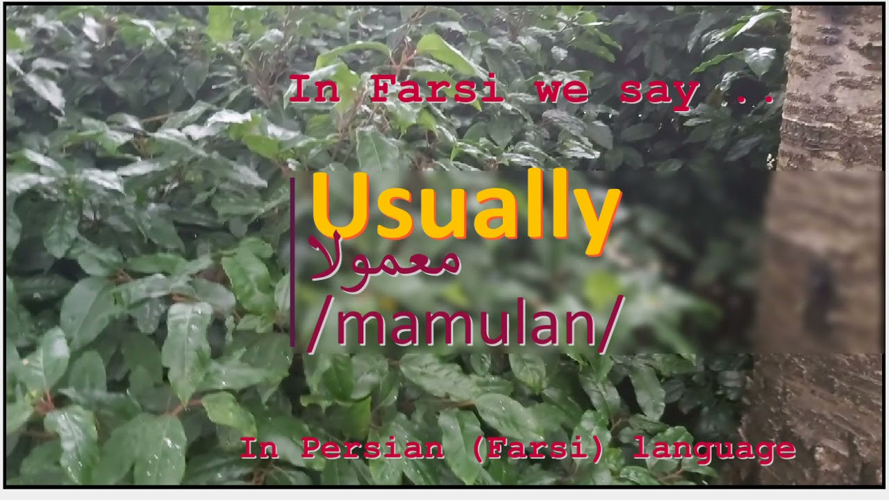The meaning of Usually in Persian or Farsi معمولا mamulan - YouTube