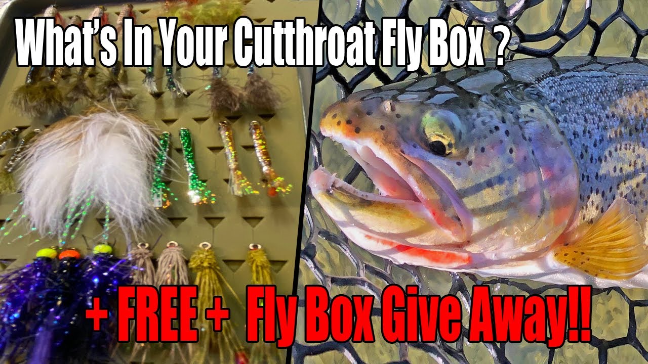 What's In Our Cutthroat Fly Box // FREE FLY BOX GIVEAWAY // Our Best ...