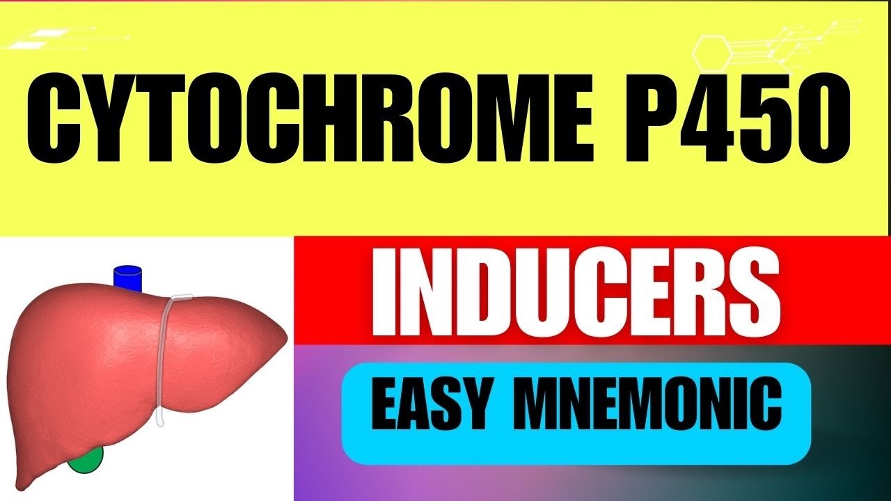 Cytochrome P450 Inducers: Easy Mnemonic, Mechanism, and Simple ...