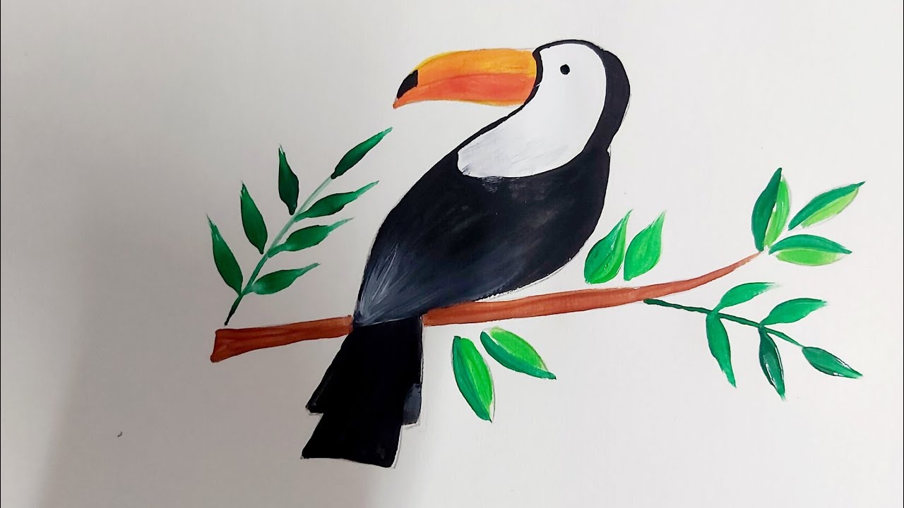 Easy toucan bird drawing tutorial || step by step easy toucan bird ...