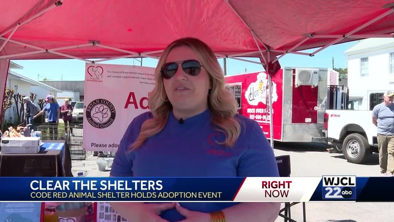 Code Red Rescue in Richmond Hill - YouTube