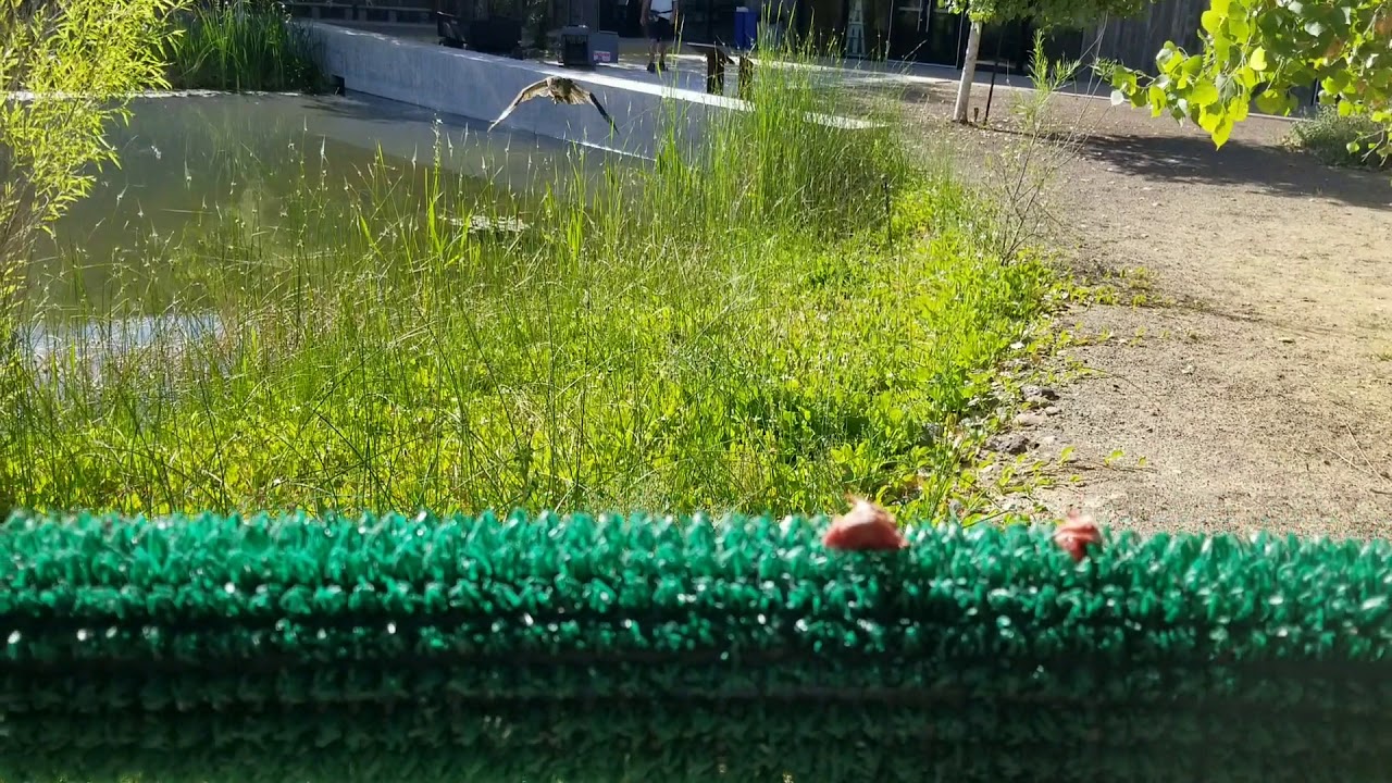 First Flight over water - YouTube