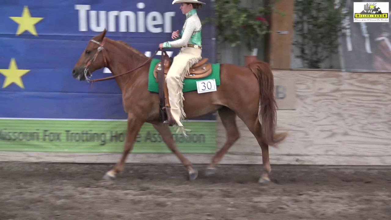 Missouri Fox Trotter Performance & Versatility At it's Best - YouTube
