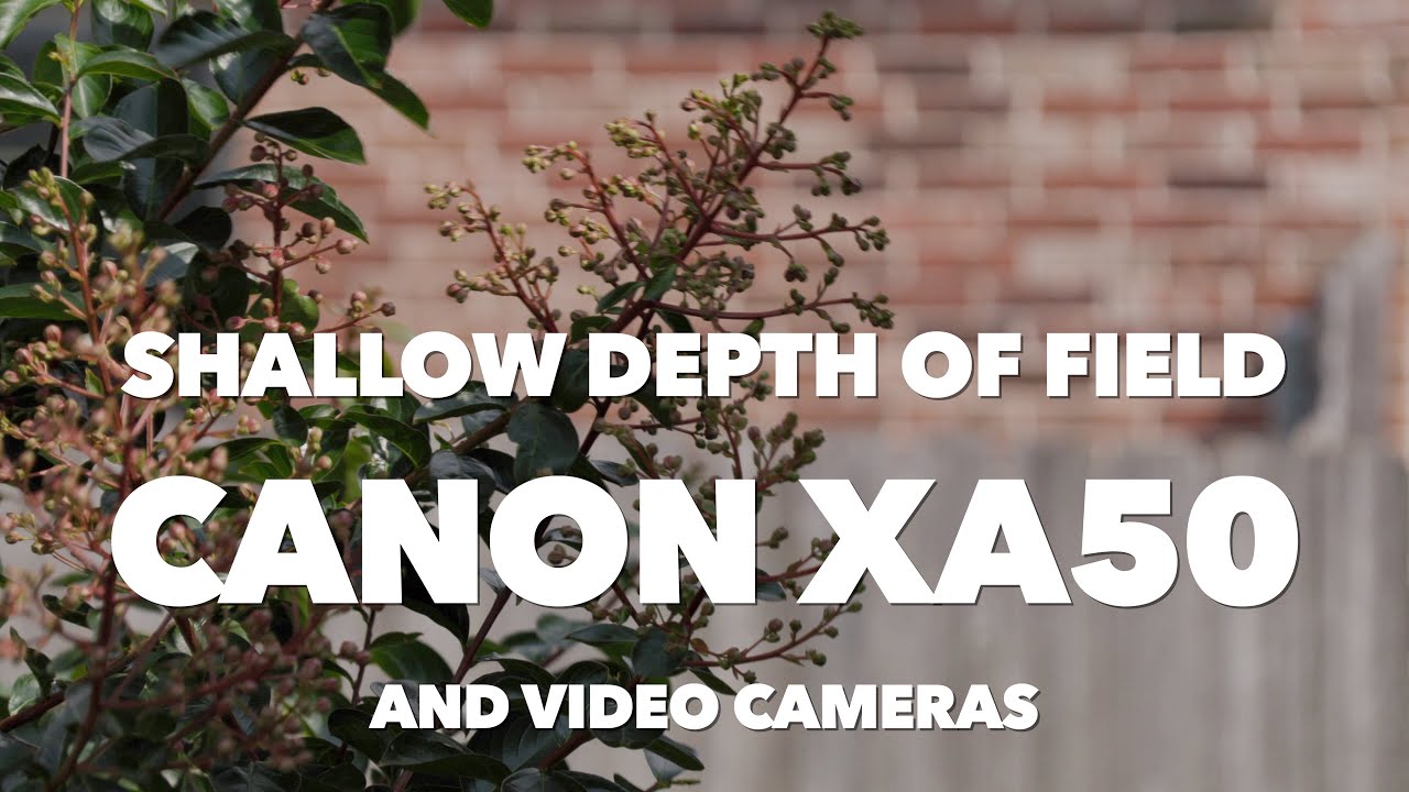 How to get shallow depth of field with Canon XA50 and Video Cameras ...