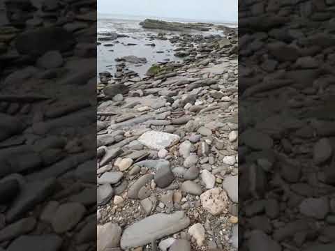 LA trip snap compilation