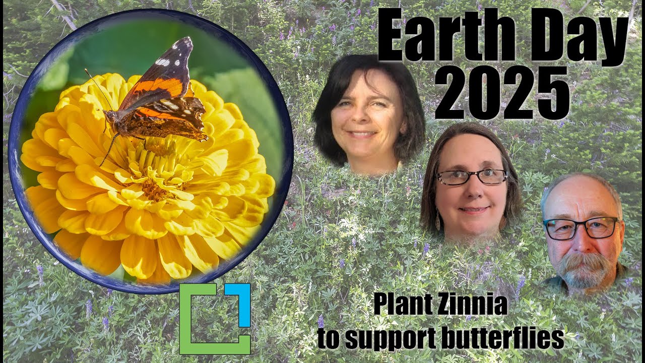 Planting for Pollinators: An Earth Day Discussion - YouTube