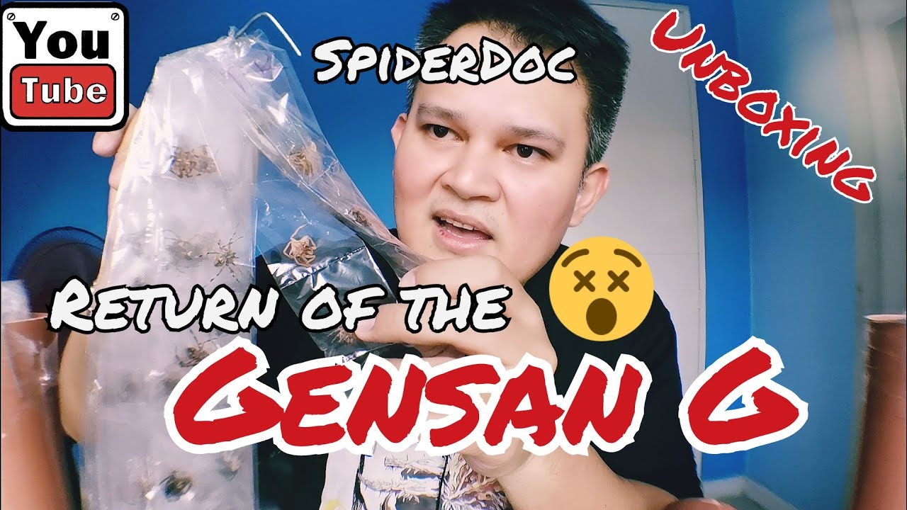 Return of the GENSAN G! Gagamba Unboxing! Ang Pagbabalik! Gensan ...