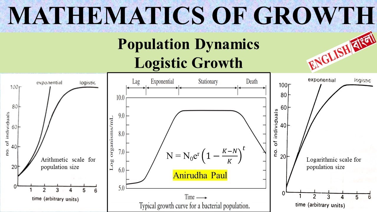 Mathematics of Growth #3: Logistic Growth - YouTube