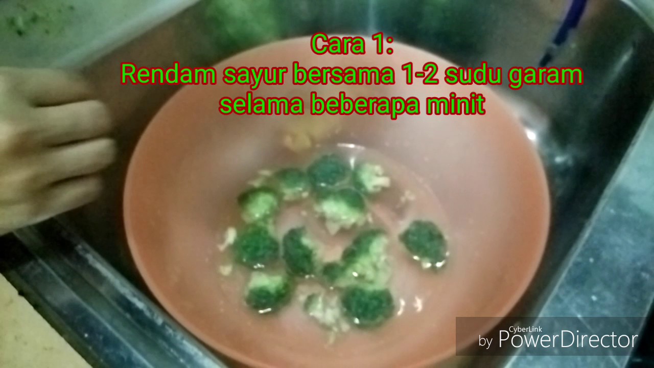 Cara Cuci Sayur Untuk Singkirkan Segala Pesticide, Ulat, Cacing dan ...