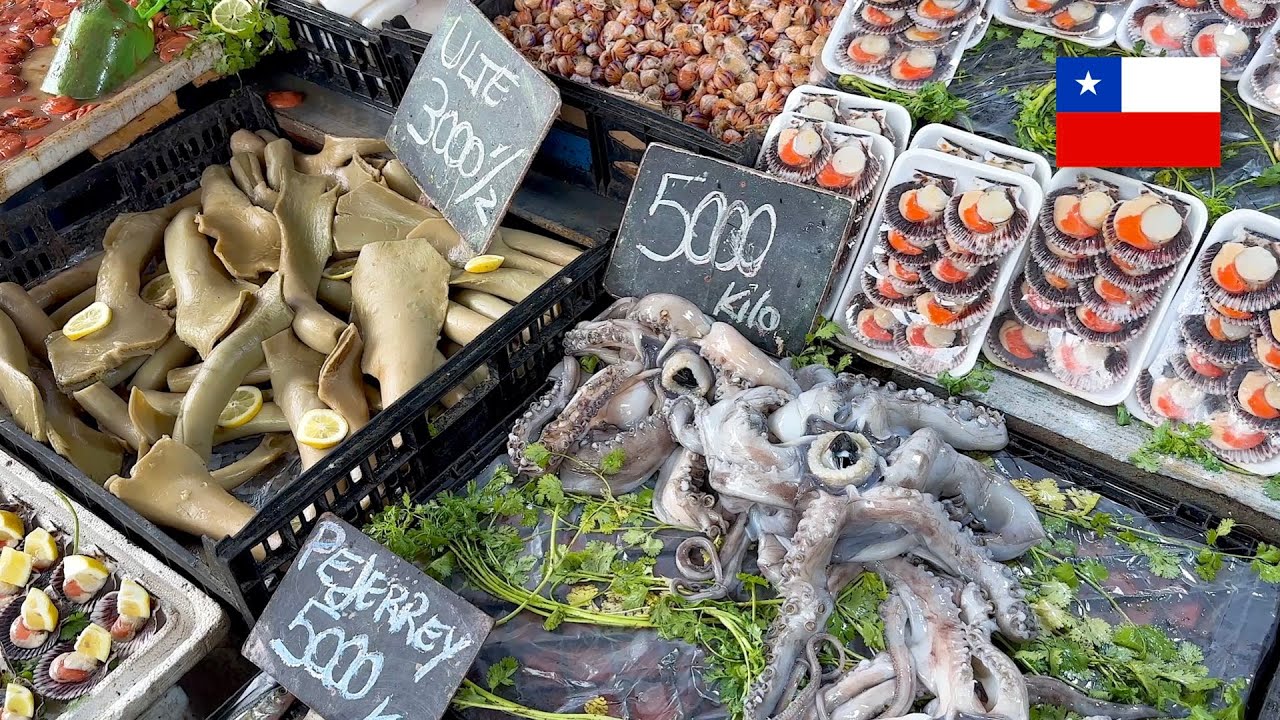 Exploring the Vibrant Seafood Market in Viña del Mar, Chile - YouTube