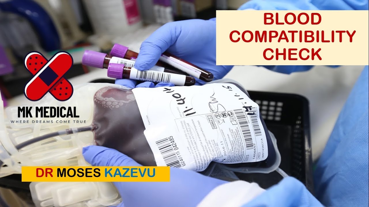 Blood compatibility Check || Patient file documentation - YouTube