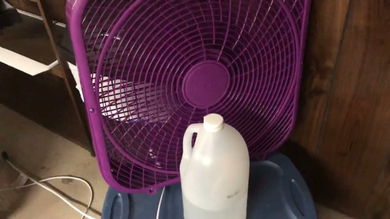 Lasko Cool Colors Box Fan 1/2 - YouTube