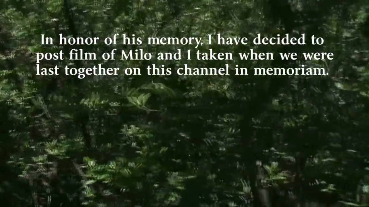 Introduction - In Memory of Milo Asher - YouTube