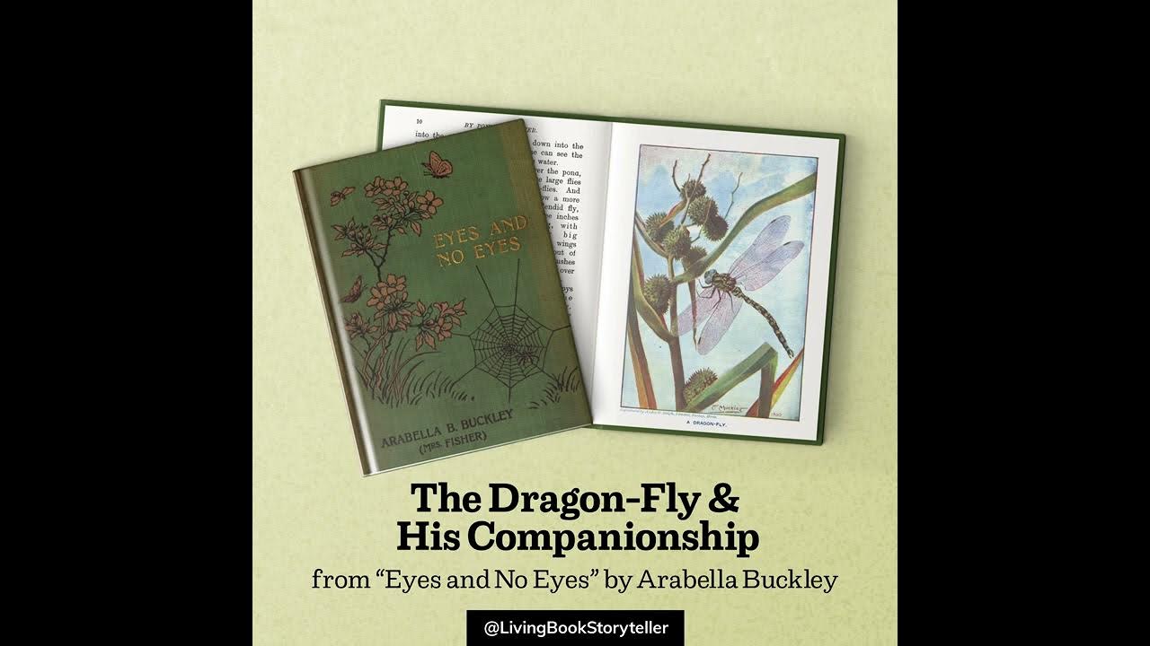 Eyes and No Eyes - Chapter 2 - The Dragon-Fly and His Companionship ...