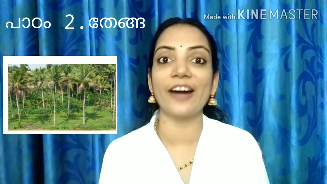Class 6malayalam Lecture Video Youtube