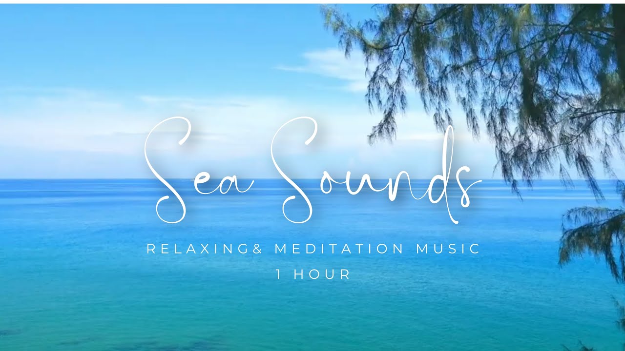 🌊Ocean Waves: Serene Sounds of the Sea for Relaxation and Meditation ...