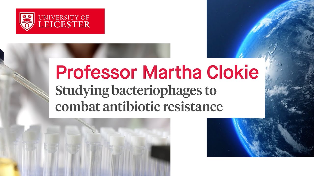 Professor Martha Clokie - Studying bacteriophages to combat antibiotic resistance - YouTube