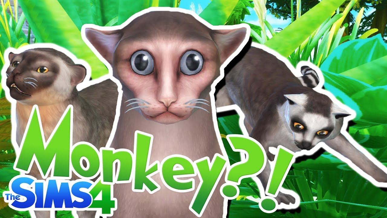 Monkeys in Sims 4?! Monkey Business!! 🐒🌿 Sims 4 CC Spotlight - YouTube