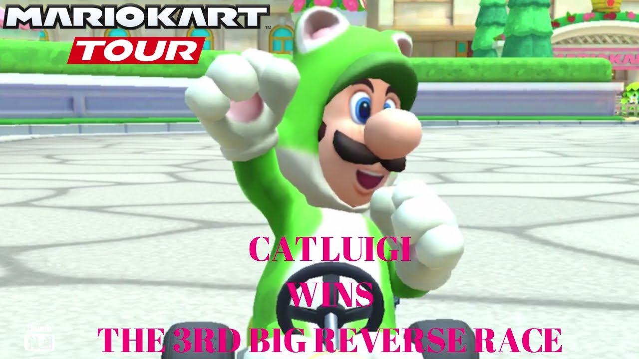 Cat Luigi Wins The 3rd Big Reverse Race - YouTube