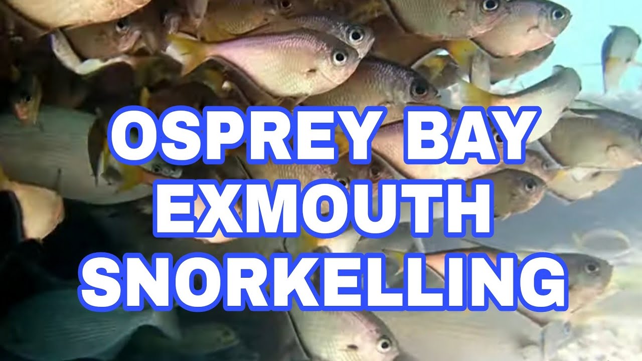 Osprey Bay Ningaloo Cape range National Park Western Australia - YouTube