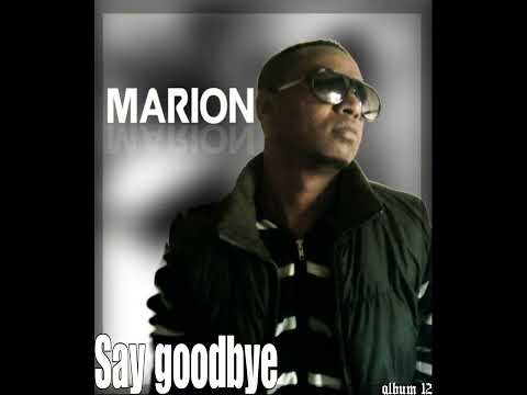 Say goodbye -Marion