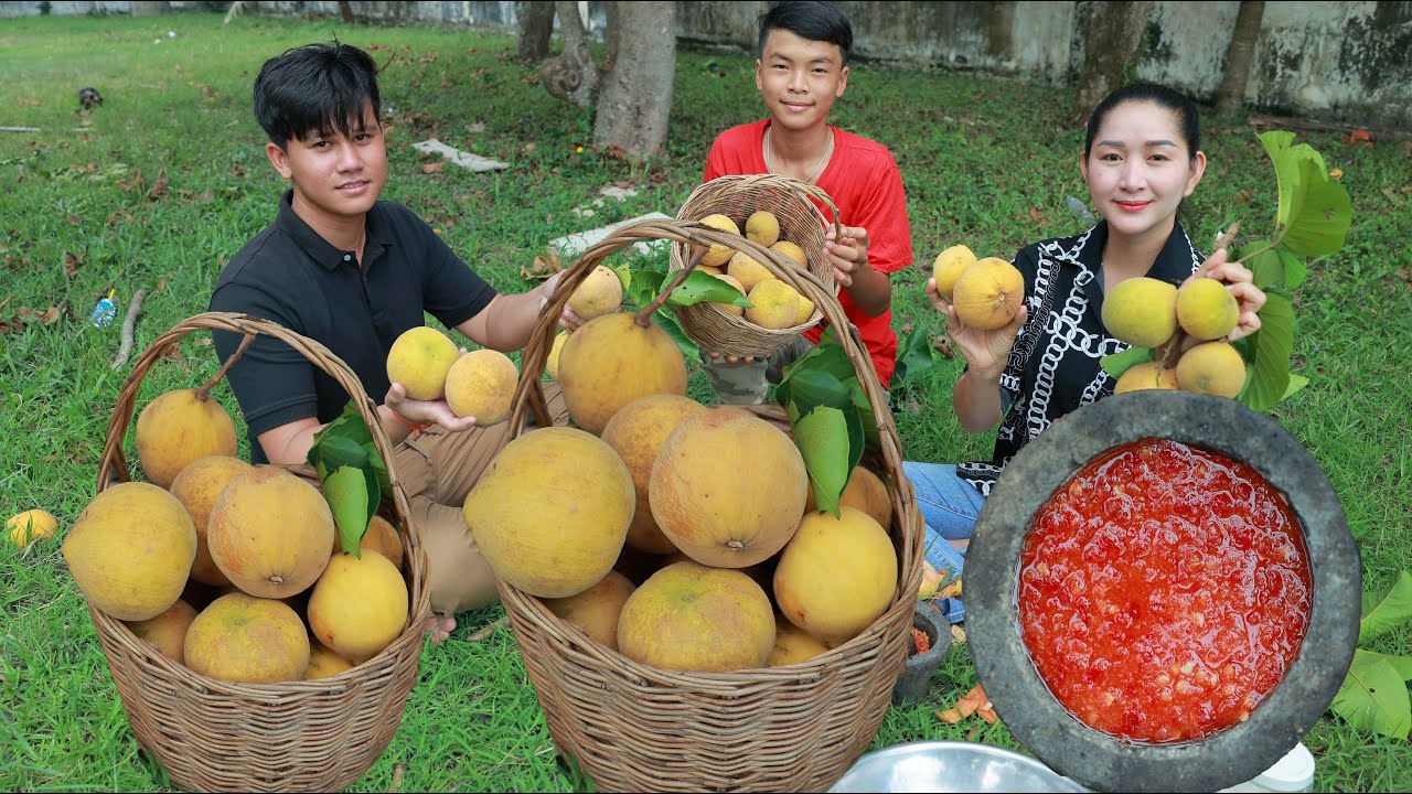 Picnic time under santol tree - Pick santol fruit eating with spicy ...