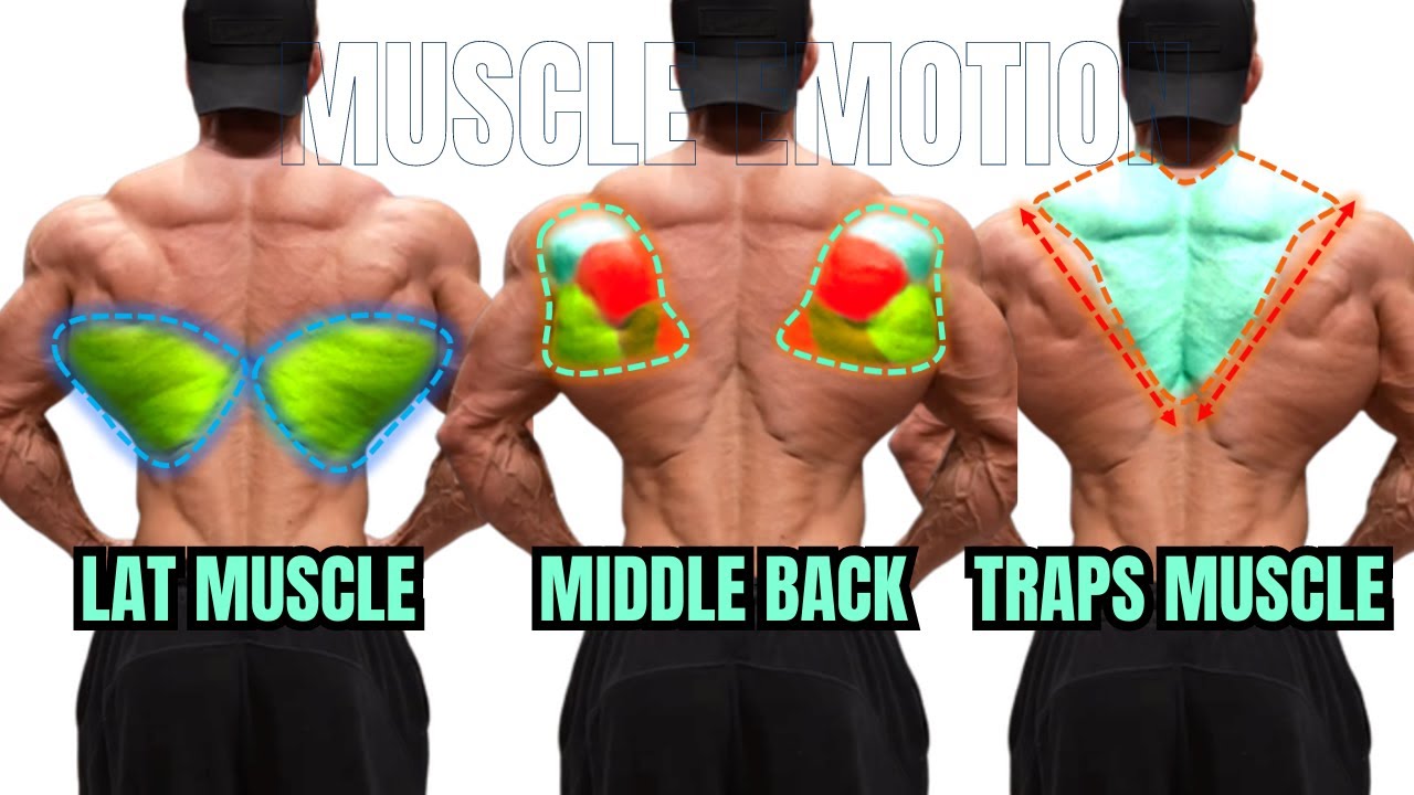 5 BEST BACK EXERCISES TO GET BIGGER BACK FAST / MUSCULATION DOS ...