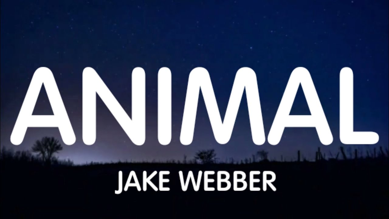 Jake Webber - Animal (Lyrics) New Song - YouTube