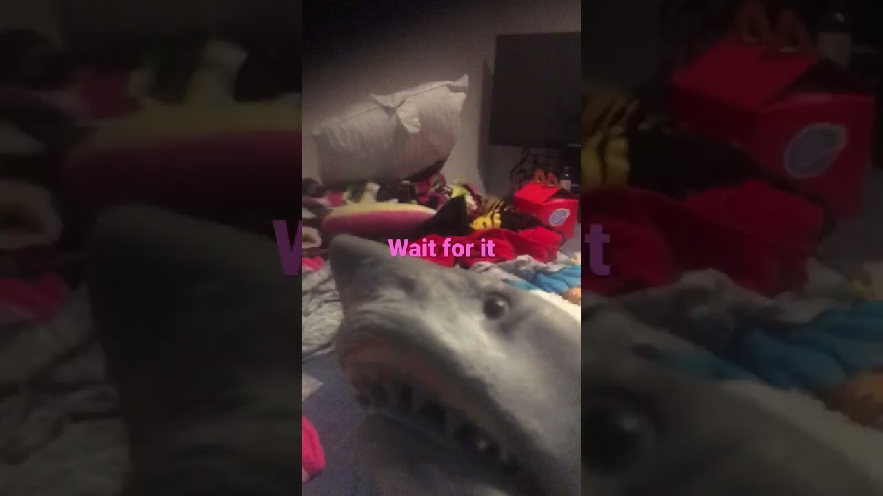 Watch it totally not scam - YouTube