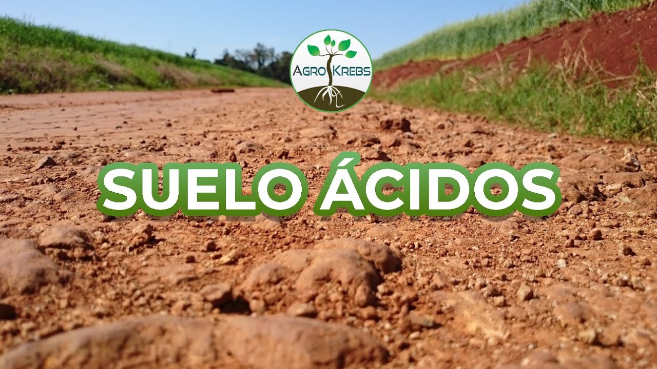 Suelos ácidos - YouTube