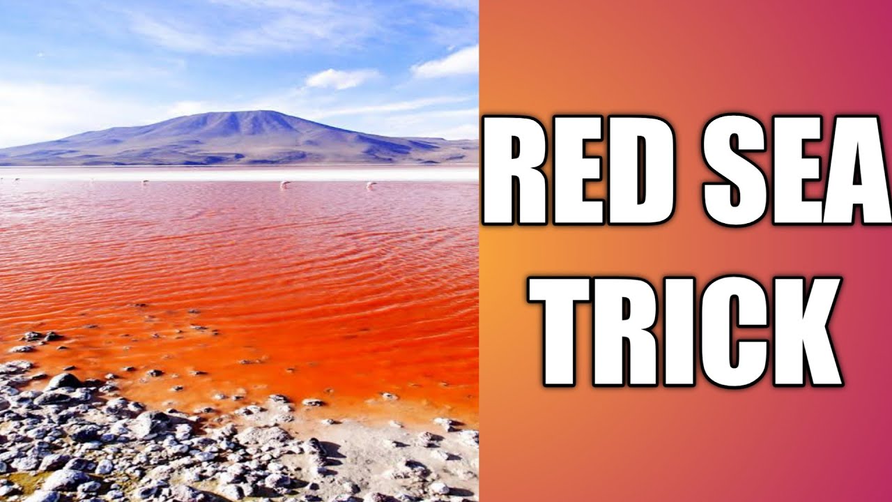Trick to remember countries around Red Sea - YouTube